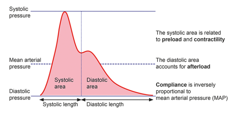 Non Invasve Cardiac Output Cnsystems Medizintechnik Gmbh